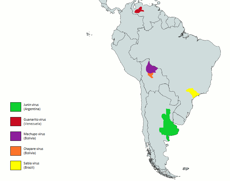South American haemorrhagic fevers - Epidemiology | BMJ Best Practice