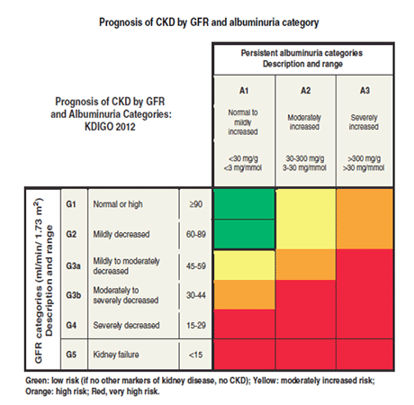 Assessment of proteinuria - Differential diagnosis of symptoms | BMJ ...